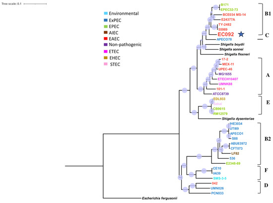 Genomic Dissection of an Enteroaggregative Escherichia coli Strain ...