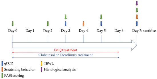 Evaluation of Clobetasol and Tacrolimus Treatments in an Imiquimod ...