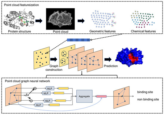 A Point Cloud Graph Neural Network for Protein–Ligand Binding Site Prediction