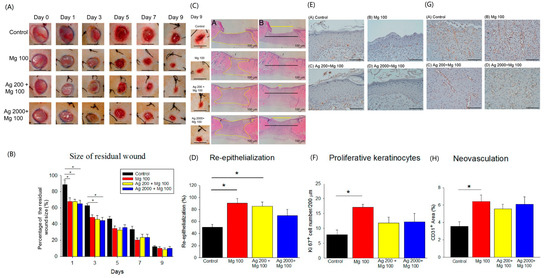 Novel Magnesium- and Silver-Loaded Dressing Promotes Tissue ...