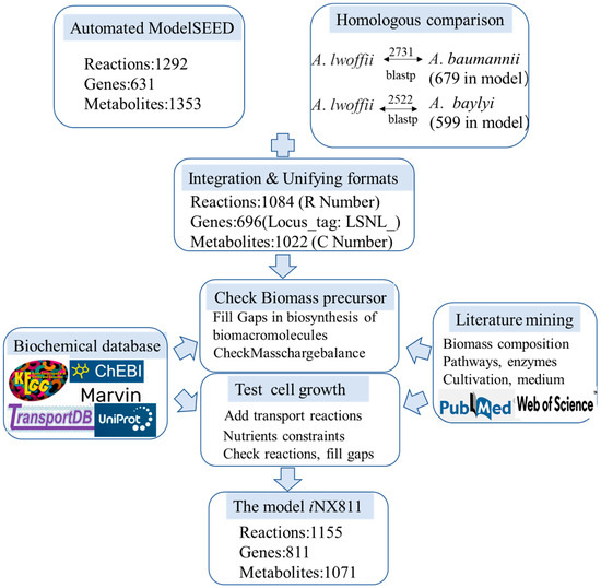 Reconstruction and Analysis of a Genome-Scale Metabolic Model of ...