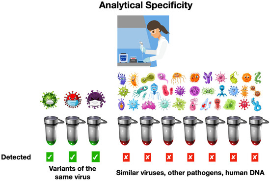 RT-qPCR Testing and Performance Metrics in the COVID-19 Era