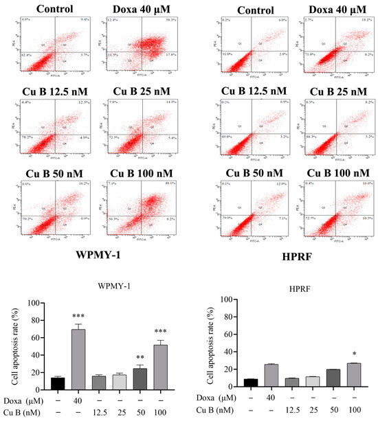 IJMS | Free Full-Text | Cucurbitacin B Inhibits the Proliferation of ...