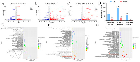 IJMS | Free Full-Text | Cucurbitacin B Inhibits the Proliferation of ...