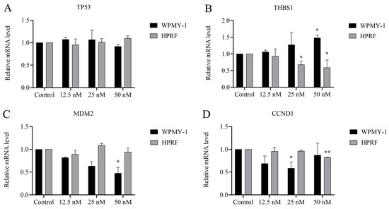 IJMS | Free Full-Text | Cucurbitacin B Inhibits the Proliferation of ...