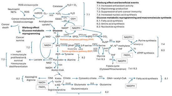 Mitochondrial Plasticity and Glucose Metabolic Alterations in Human ...