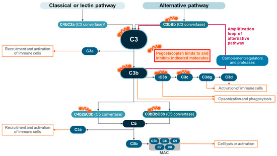 Navigating the Complement Pathway to Optimize PNH Treatment with ...