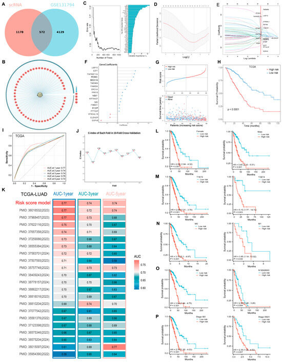 Deciphering Dormant Cells of Lung Adenocarcinoma: Prognostic Insights ...