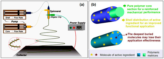 Shell Distribution of Vitamin K3 within Reinforced Electrospun ...