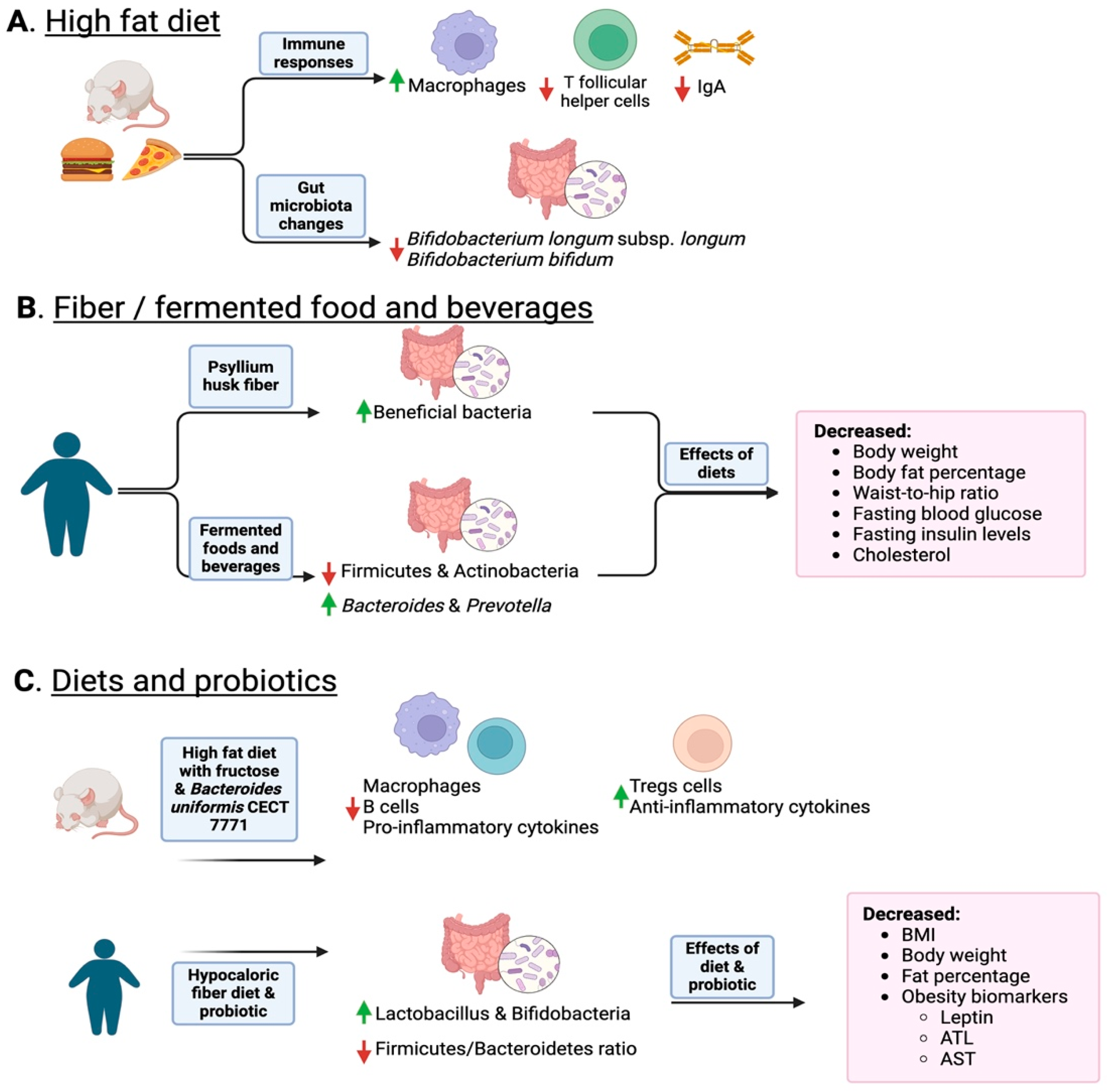 Insights into Gut Dysbiosis: Inflammatory Diseases, Obesity, and Restoration Approaches