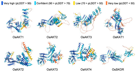 Identification and Characterization of Shaker Potassium Channel Gene ...