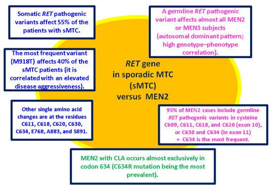 Thyroid Malignancy and Cutaneous Lichen Amyloidosis: Key Points Amid ...