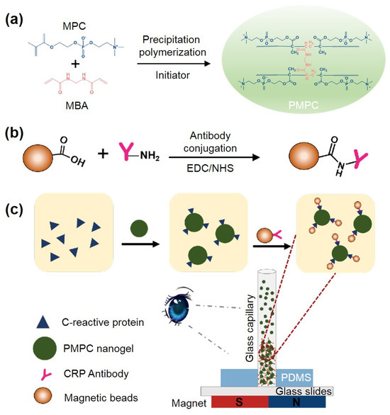 A Visual Distance-Based Capillary Immunoassay Using Biomimetic Polymer ...
