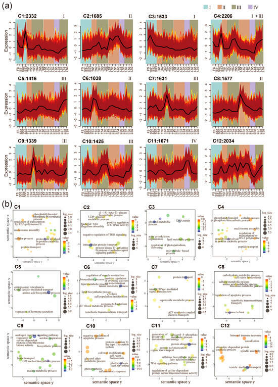 A Spatiotemporal Transcriptome Reveals Stalk Development in Pearl Millet