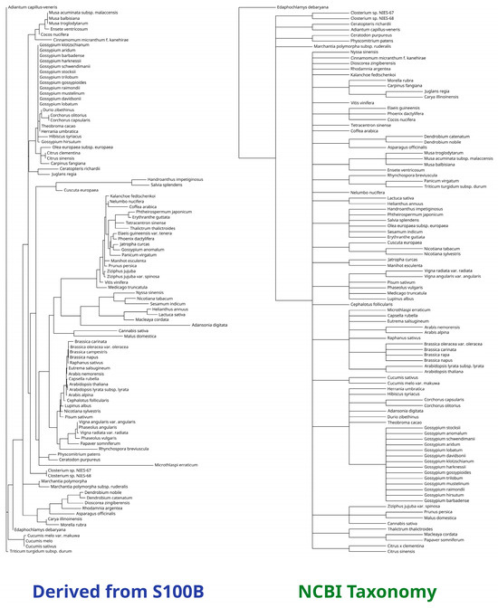 In Silico Predicting the Presence of the S100B Motif in Edible Plants ...