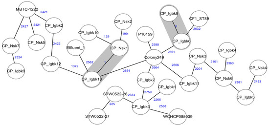 Antibiotic Resistance Hotspot: Comparative Genomics Reveals Multiple Strains of Multidrug ...