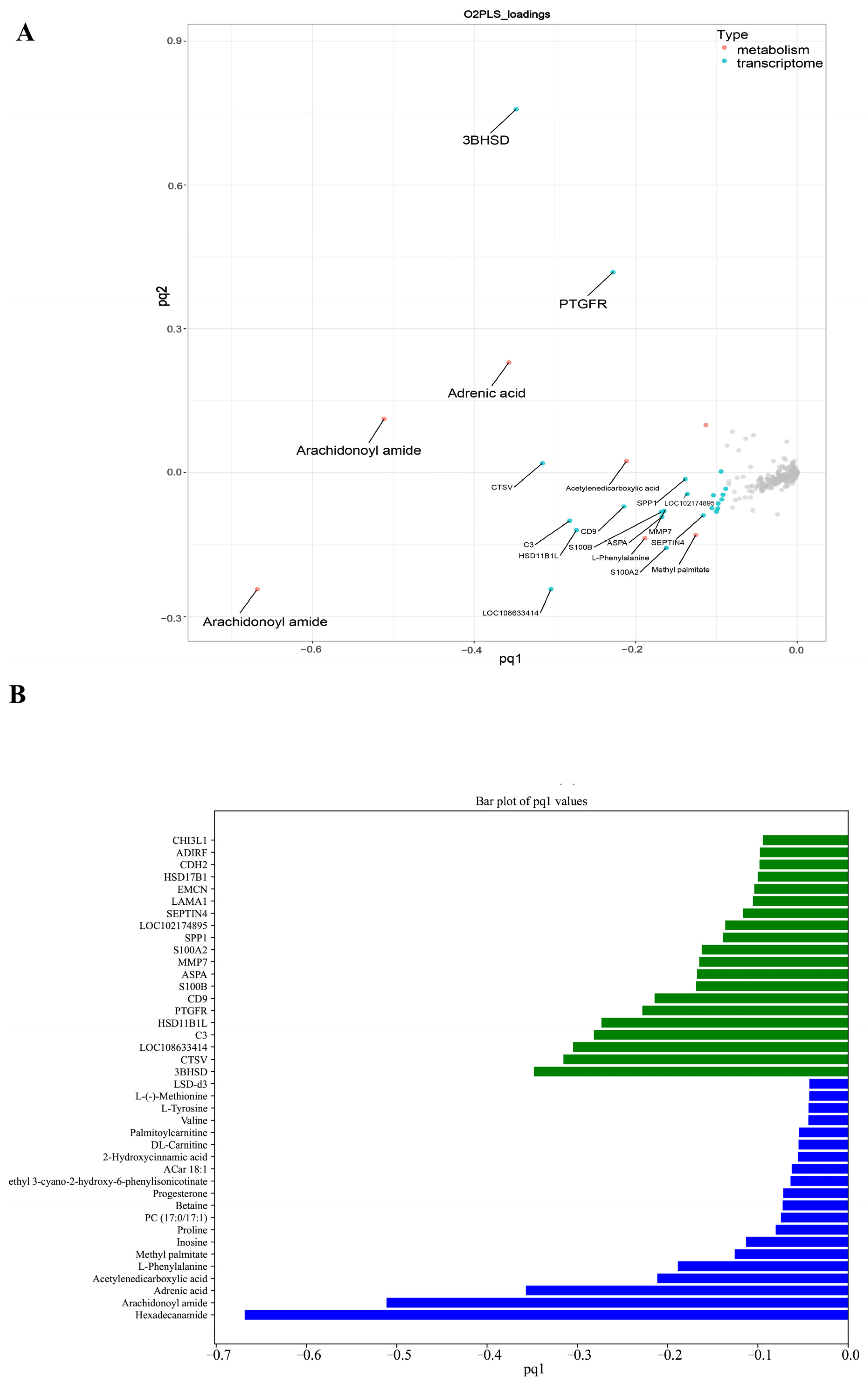 Metabolomic and Transcriptomic Analyses Reveal the Potential Mechanisms ...