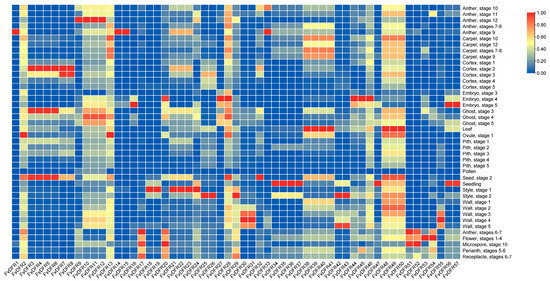 The Genome-Wide Identification of the Dihydroflavonol 4-Reductase (DFR ...