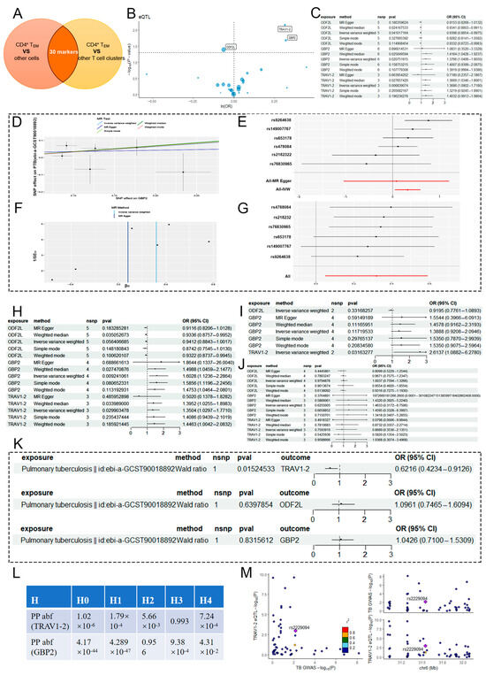 CD4+ Effective Memory T Cell Markers GBP2 and LAG3 Are Risk Factors for ...