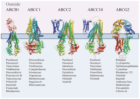 Progress in Research of Nanotherapeutics for Overcoming Multidrug ...