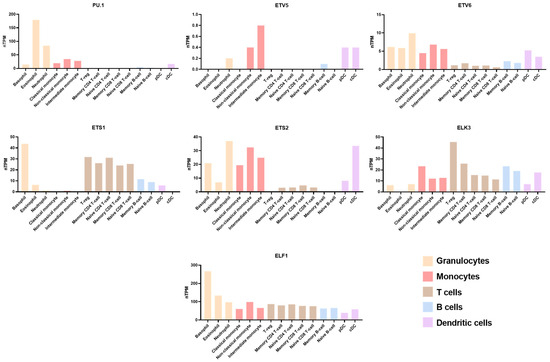 ETS Transcription Factors in Immune Cells and Immune-Related Diseases