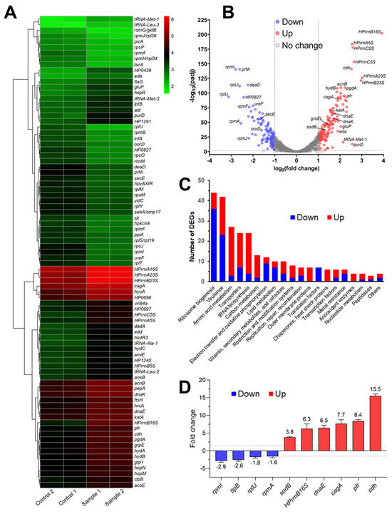 Novel Drug-like HsrA Inhibitors Exhibit Potent Narrow-Spectrum ...