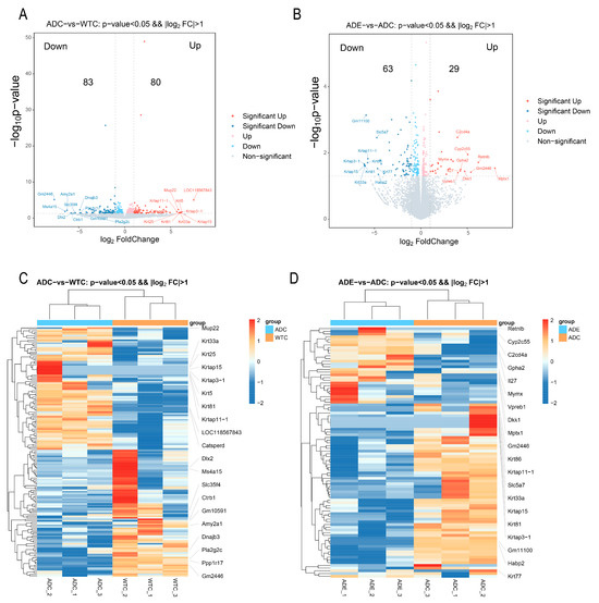The Potential Related Genes and Mechanisms Involved in Improving the ...