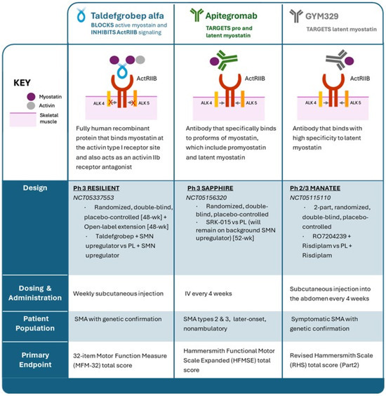 Taldefgrobep Alfa and the Phase 3 RESILIENT Trial in Spinal Muscular ...