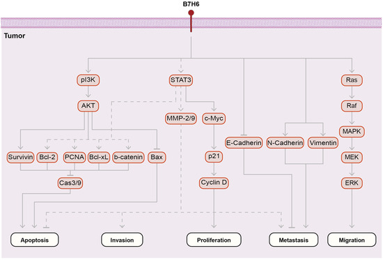 Harnessing B7-H6 for Anticancer Immunotherapy: Expression, Pathways ...