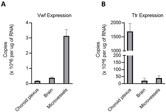 Expression of Manganese Transporters ZIP8, ZIP14, and ZnT10 in Brain ...