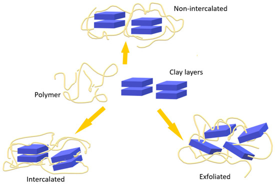 Chitosan–Clay Mineral Nanocomposites with Antibacterial Activity for ...