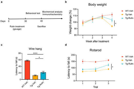 Rutin Ameliorates ALS Pathology by Reducing SOD1 Aggregation and ...