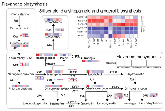 Metabolome and Transcriptome Joint Analysis Reveals That Different ...