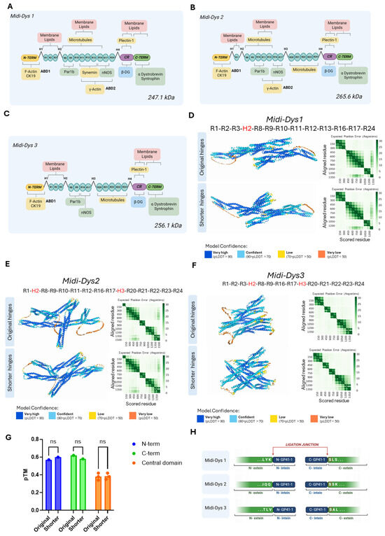 In Silico Structural Prediction for the Generation of Novel Performant ...