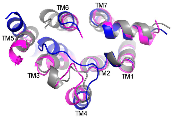 Biased Signaling Agonists Promote Distinct Phosphorylation and ...