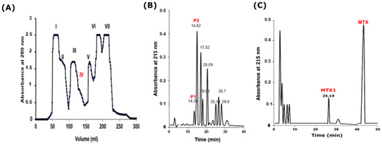 Structure–Function Relationship of a Novel MTX-like Peptide (MTX1 ...