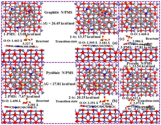 Peroxymonosulfate Activation by Fe@N Co-Doped Biochar for the ...