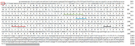 Identification and Functional Analysis of Ras-Related Associated with ...