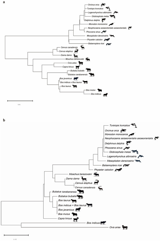 Codon Bias of the DDR1 Gene and Transcription Factor EHF in Multiple ...