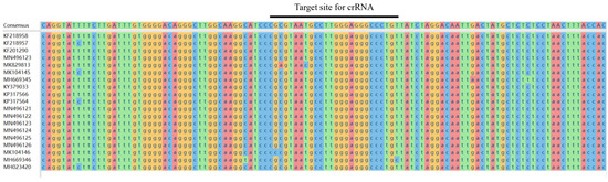 Detection of Avian Leukosis Virus Subgroup J (ALV-J) Using RAA and ...