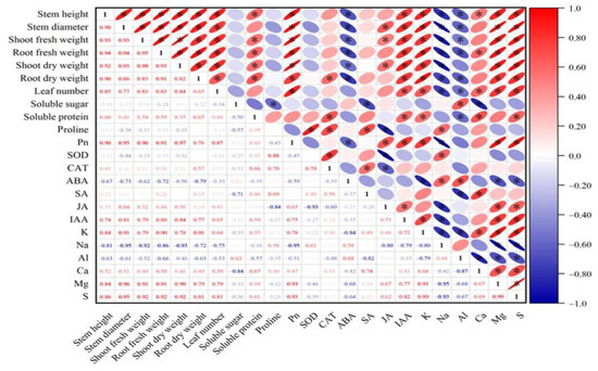 An Enhanced Interaction of Graft and Exogenous SA on An Enhanced Interaction of Graft and Exogenous SA on