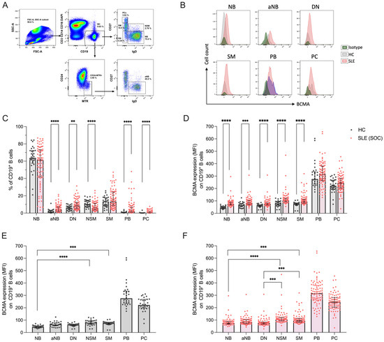 B-Cell Maturation Antigen (BCMA) as a Biomarker and Potential Treatment ...