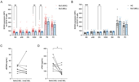B-Cell Maturation Antigen (BCMA) as a Biomarker and Potential Treatment ...
