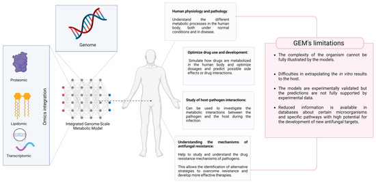 Genome-Scale Metabolic Models in Fungal Pathogens: Past, Present, and ...