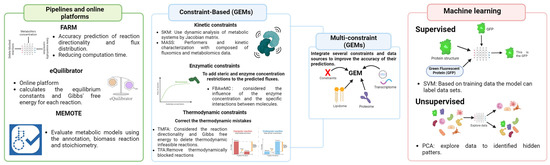Genome-Scale Metabolic Models in Fungal Pathogens: Past, Present, and ...
