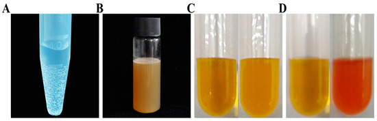 Maize Endophytic Plant Growth-Promoting Bacteria Peribacillus simplex ...