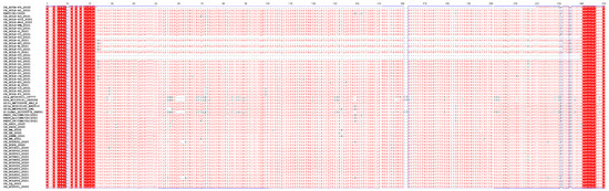 Phylogenetic Analysis of Porcine Epidemic Diarrhea Virus (PEDV) during ...