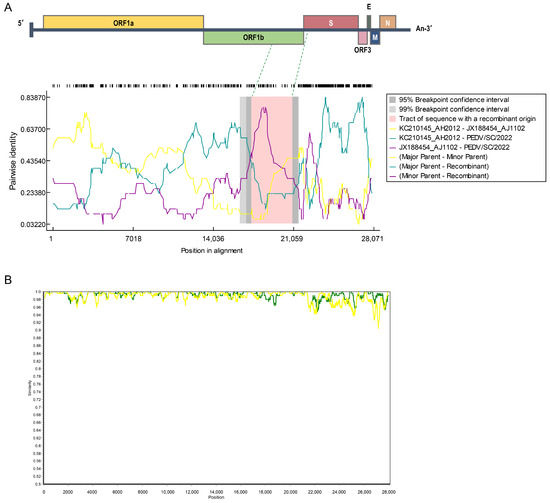 Phylogenetic Analysis of Porcine Epidemic Diarrhea Virus (PEDV) during ...