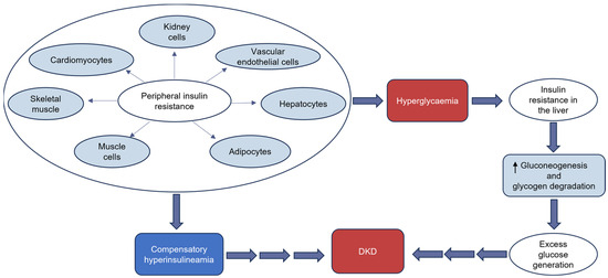 Crosstalk of Hyperglycaemia and Cellular Mechanisms in the Pathogenesis ...