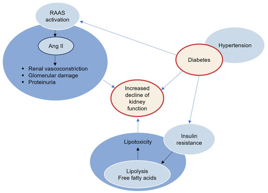 Crosstalk of Hyperglycaemia and Cellular Mechanisms in the Pathogenesis ...